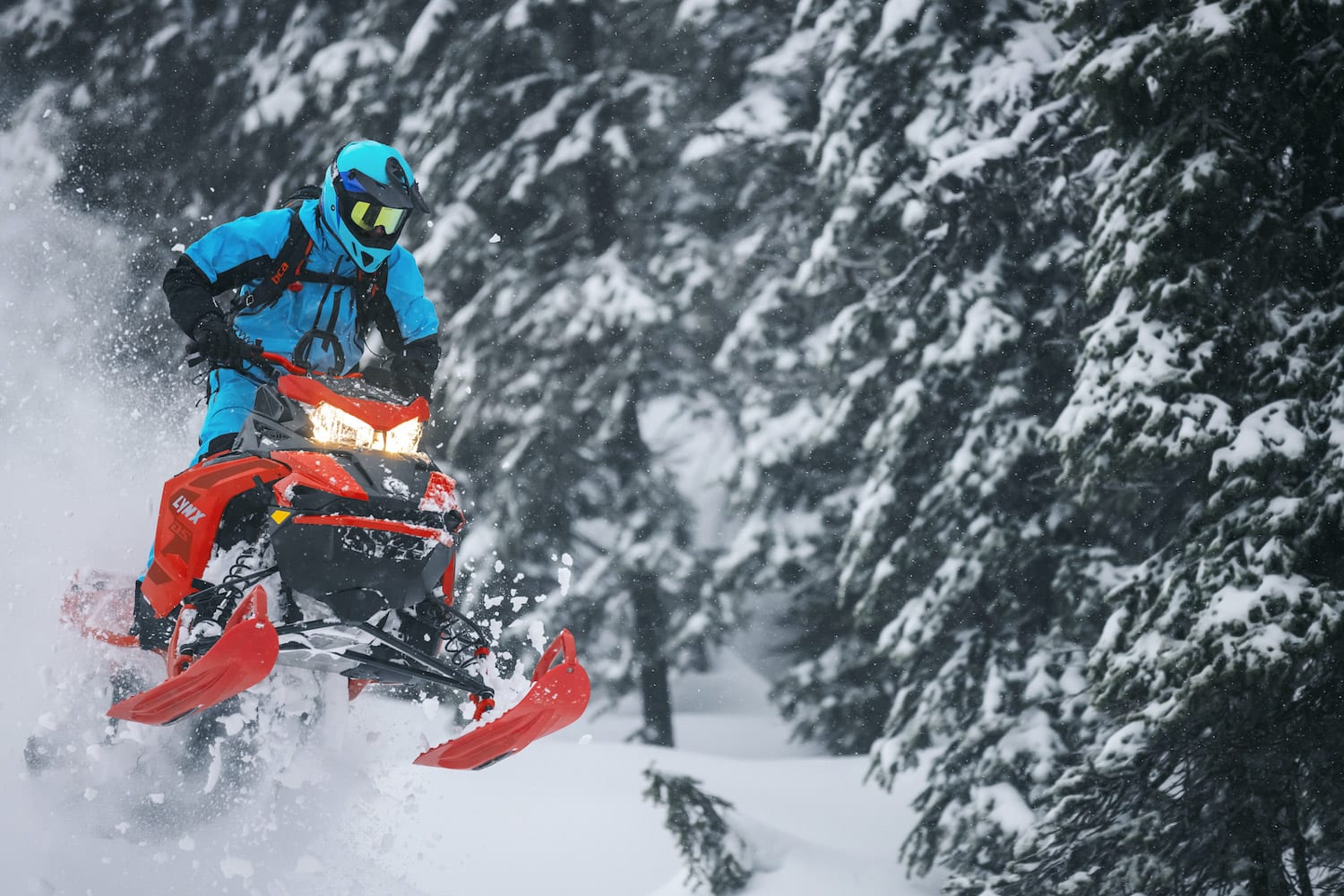 Lynx in Quebec! - 4Ridersmag