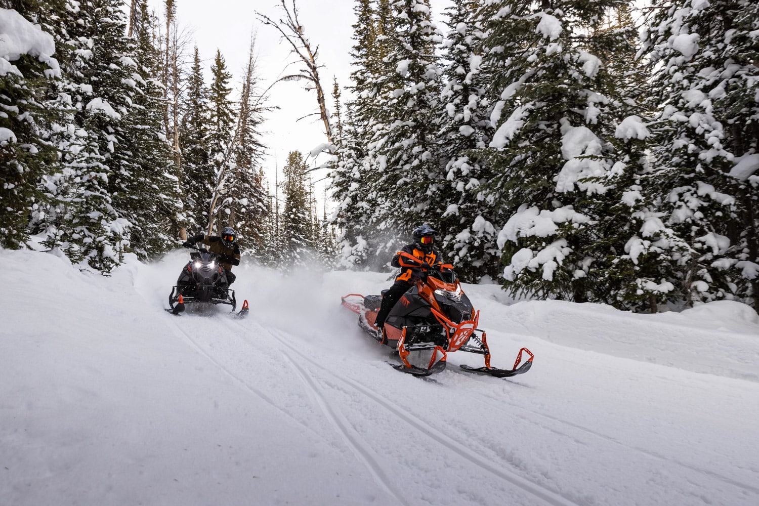 Arctic Cat Snowmobile 2024 Lineup - 4Ridersmag