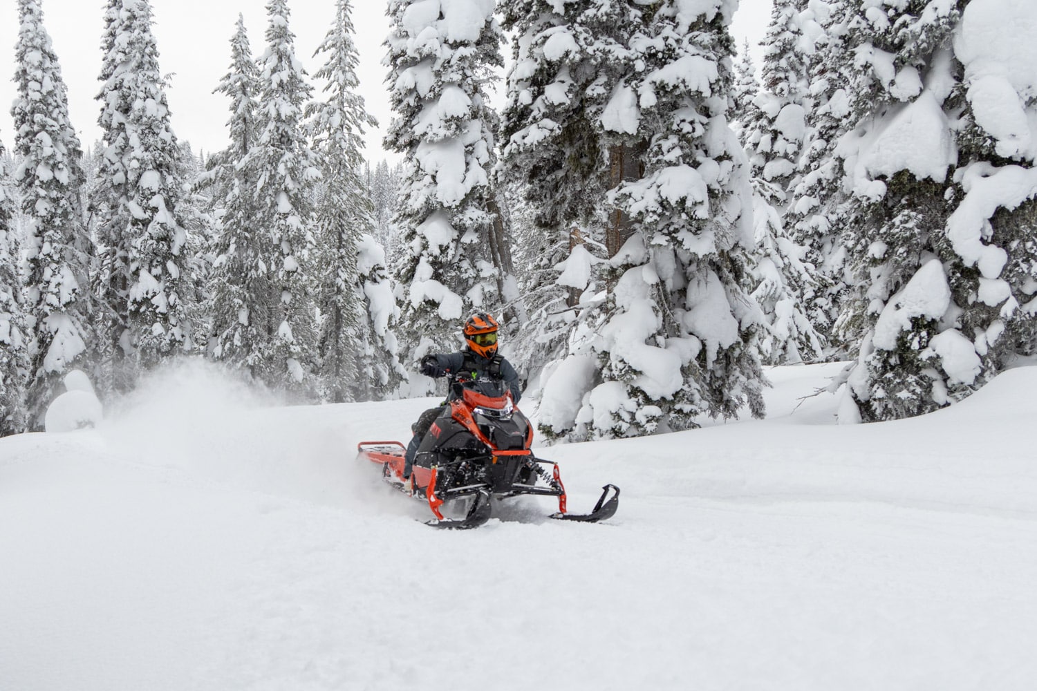 2024 Arctic Cat RIOT 600 Catalyst - Test - 4Ridersmag