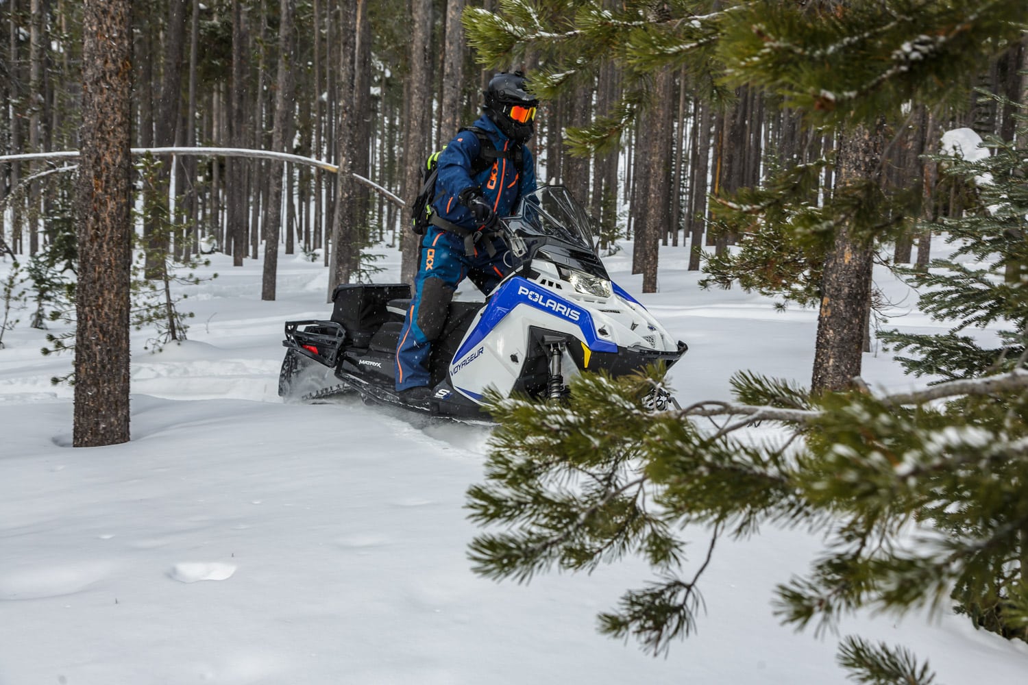 Top 5 utility snowmobiles 2024 - 4Ridersmag