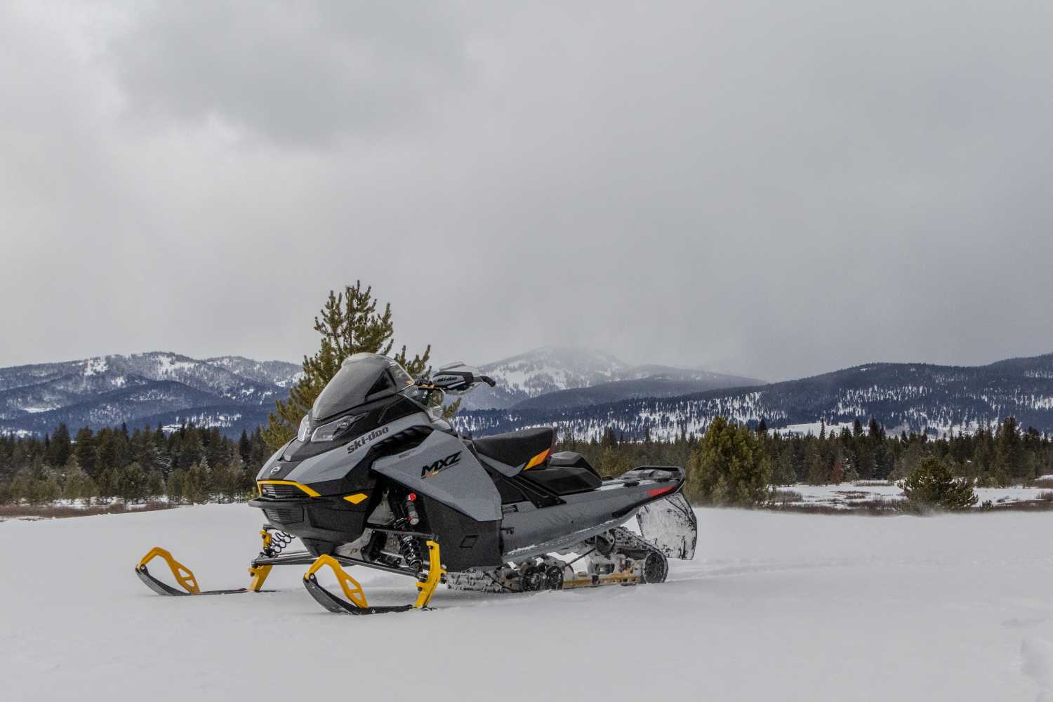 Ski-Doo MXZ Adrenaline Blizzard 2025 - 4Ridersmag