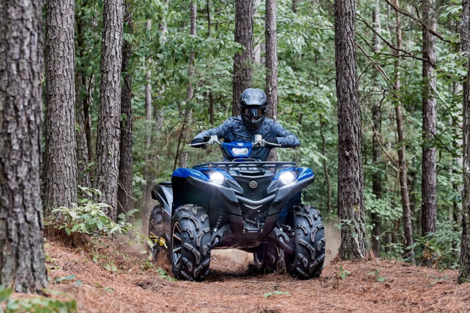Top 5 ATVs in 2025 - 4Ridersmag