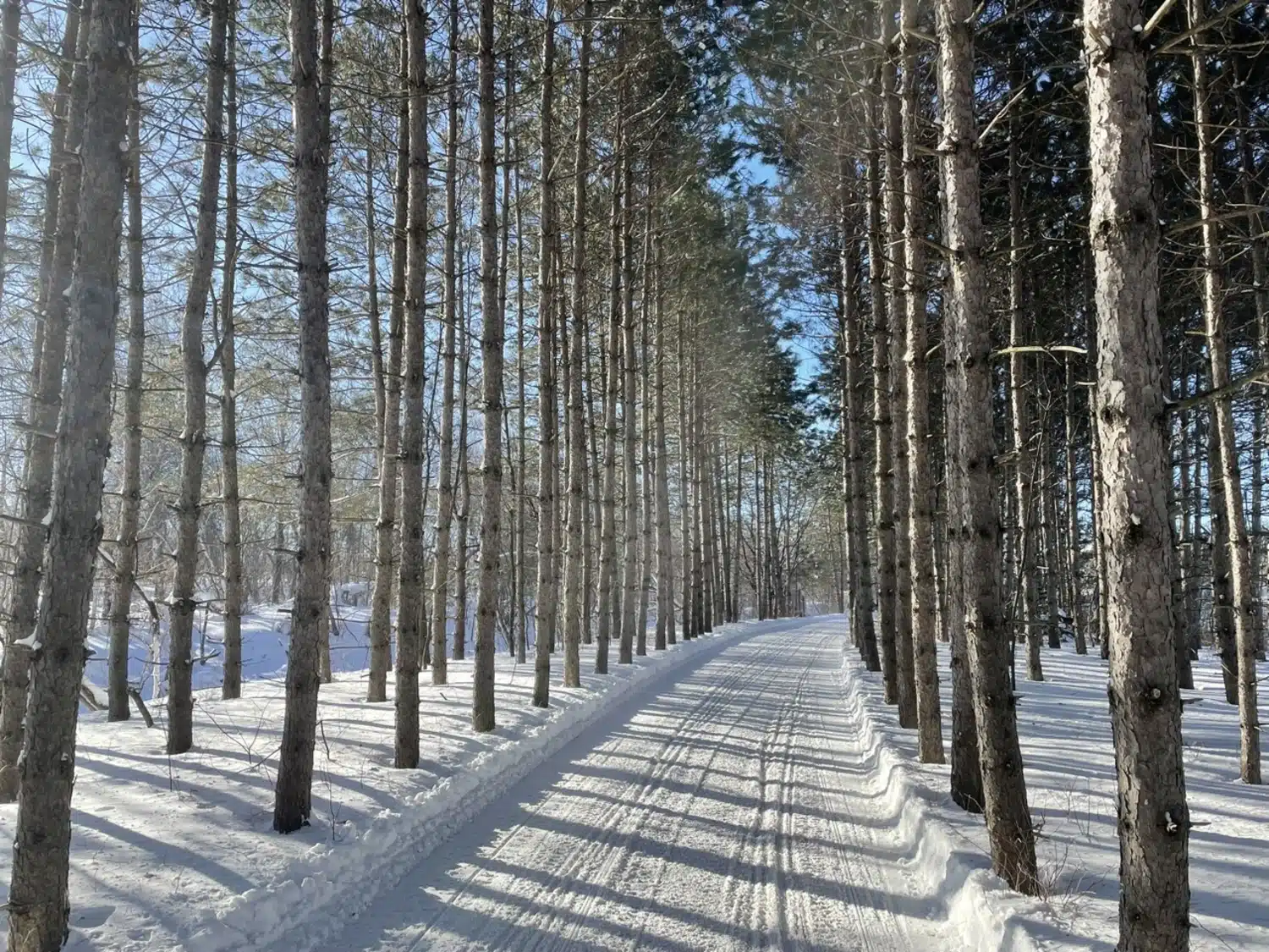 An epic winter ATV riding trip - 4Ridersmag