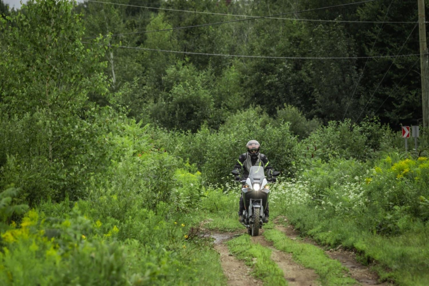 The 2024 Honda NX500 review: simple but full of potential - 4Ridersmag